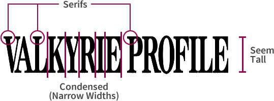 VALKYRIE PROFILE: LOGO DESIGN ANALYSIS – The Picky Champy